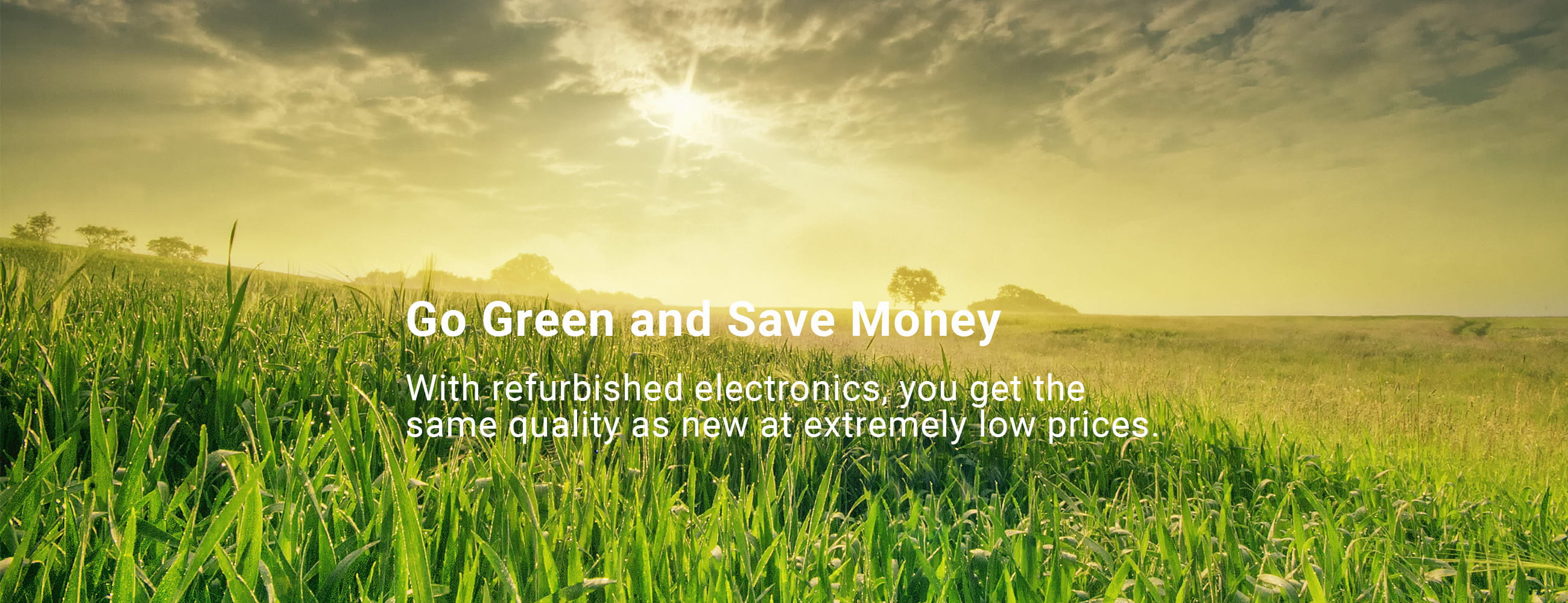 Rapid Solutions International