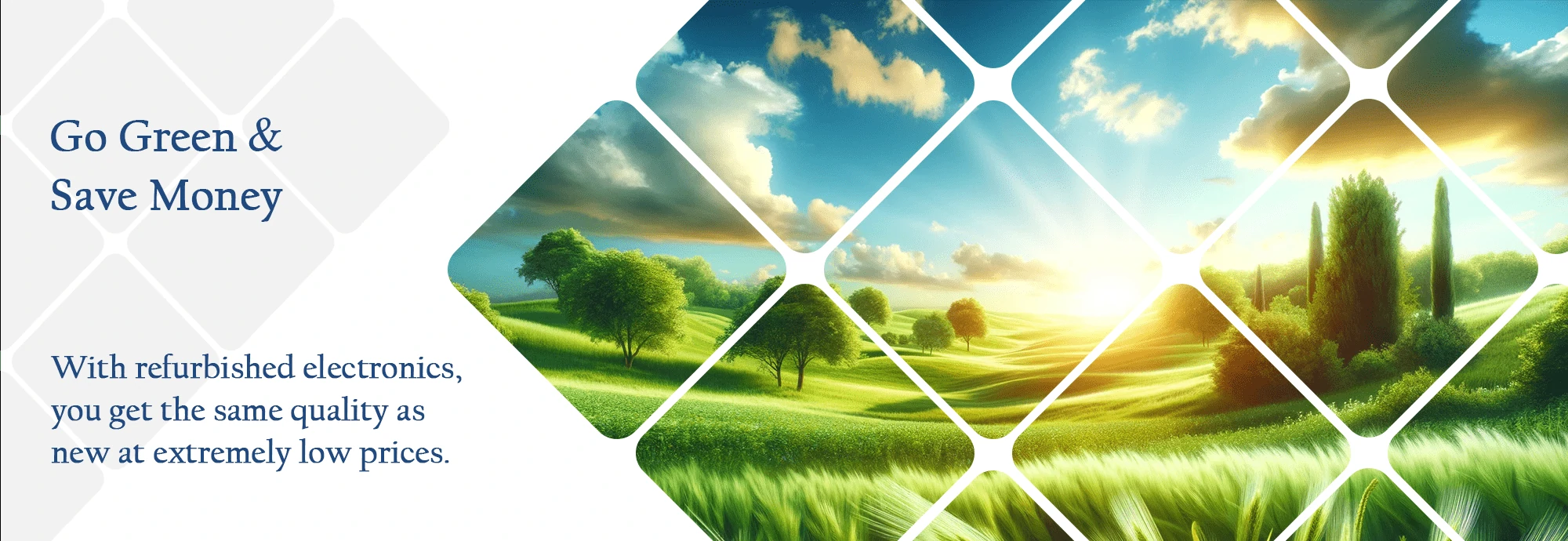 Rapid Solutions International
